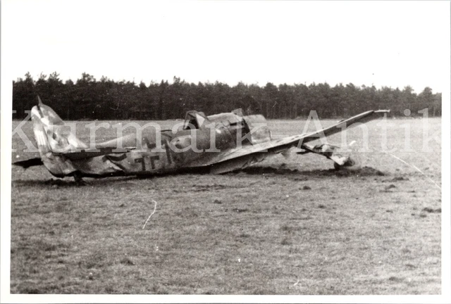 B467 FOTO WEHRMACHT Archiv Repro Luftwaffe Flugzeug Fw190 Emblem ...