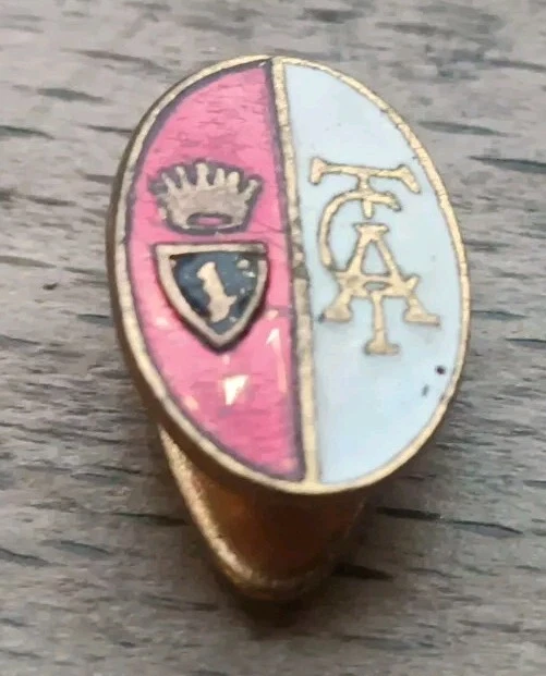 SPILLA PINS DISTINTIVO Stemma Simbolo Badge Logo Crest Club Torino ...