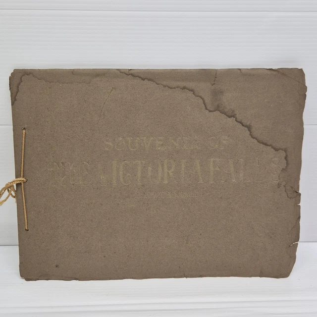 ALBUM SOUVENIRS OF Victoria Falls Photos/Blankback Postcards Percy M ...