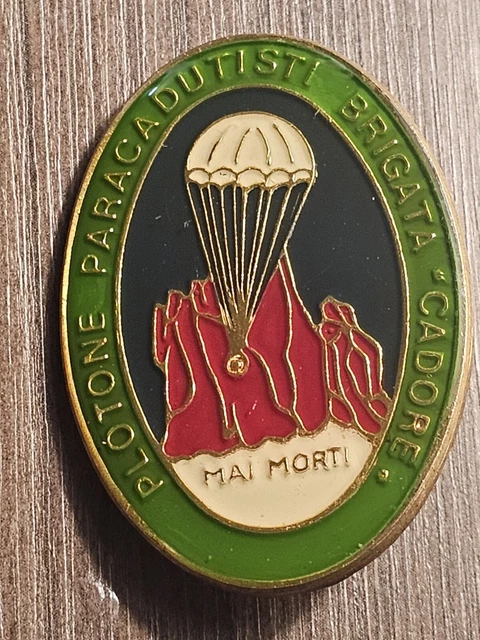 1960S VIETNAM COLD War Era Italian Plotone Brigata Cadore Parachute ...