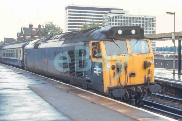 UK DIESEL TRAIN Railway Photograph Of Class 50 50039. Rm50-241 £1.70 ...