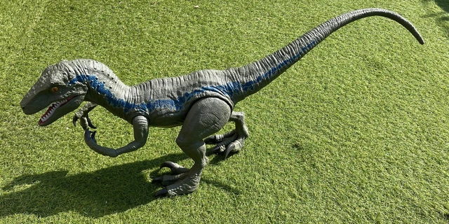 JURASSIC WORLD DINOSAUR Super Colossal Velociraptor Blue Figure Large £ ...