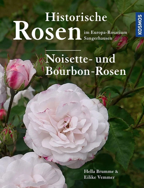 HISTORISCHE ROSEN IM Europa Rosarium Sangerhausen: Noisette- und ...