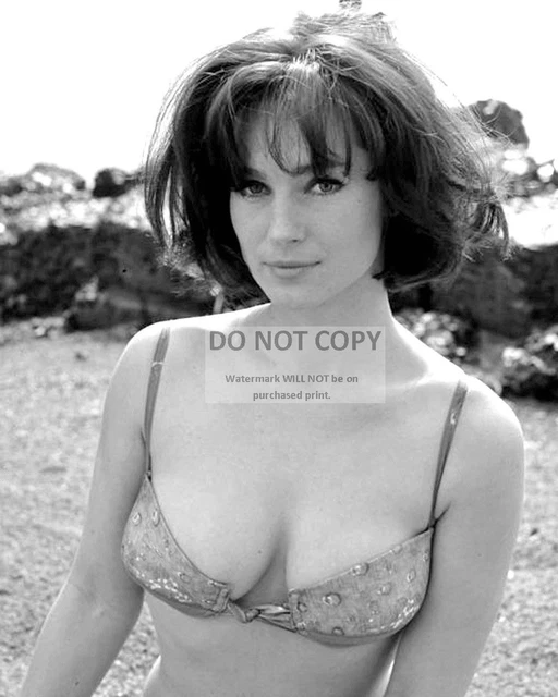 Shirley Anne Field English Actress Pin Up 8x10 Publicity Photo Cc663