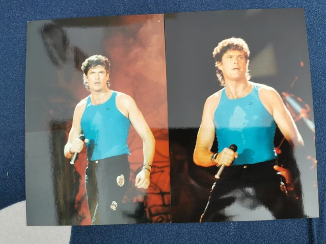 DAVID HASSELHOFF BAYWATCH Knight Rider Foto Photos Live Tour rar £68.68 ...