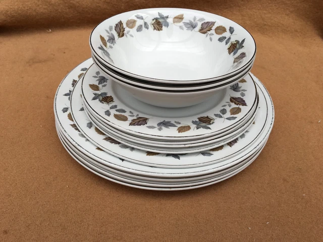 SET OF 12 Alfred Meakin 'Glo white' Springwood plates & bowls, £11.12 ...