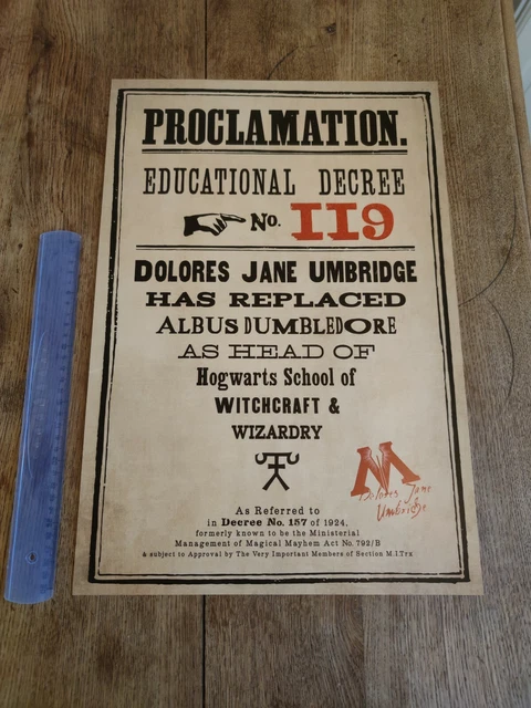 AFFICHE POSTER PREMIUM Harry Potter Educational Decree N° 119 - 48.3 x ...