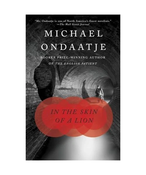 IN THE SKIN of a Lion, Michael Ondaatje EUR 8,20 - PicClick FR