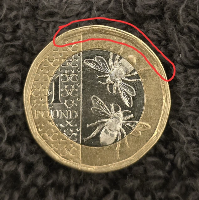 KING CHARLES III Bee £ 1 coin 2025 One Pound Rare Error £6,536.70 ...