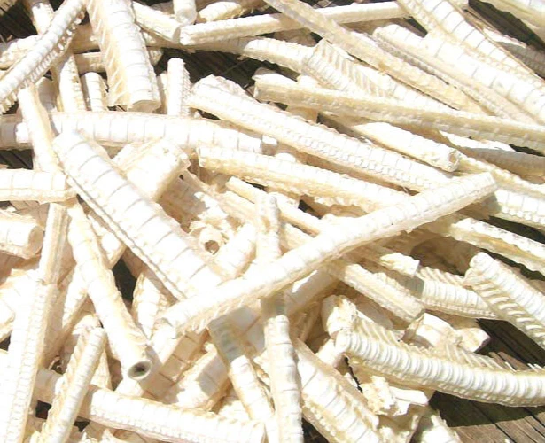 100G SHARK CARTILAGE. Australian Supplement Natural Pet Food Dog Treats ...