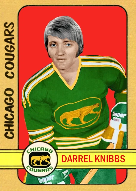 1972-73 TOPPS WHA CTNW #556 Darrel Knibbs Chicago Cougars carte ...