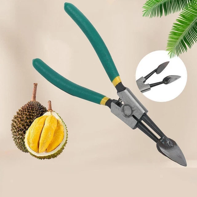 DURIAN OPENER SHELLING Machine Professional Compact Easy to Use Durian ...