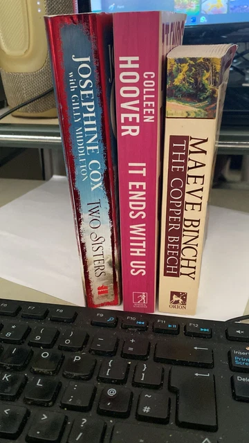 IT ENDS WITH Us by Colleen HooverTwo Sisters Josephine Cox The Copper Beech M B EUR 14,51 ...