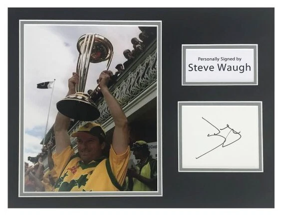 SIGNED STEVE WAUGH Display - World Cup 1999 +COA £69.99 - PicClick UK