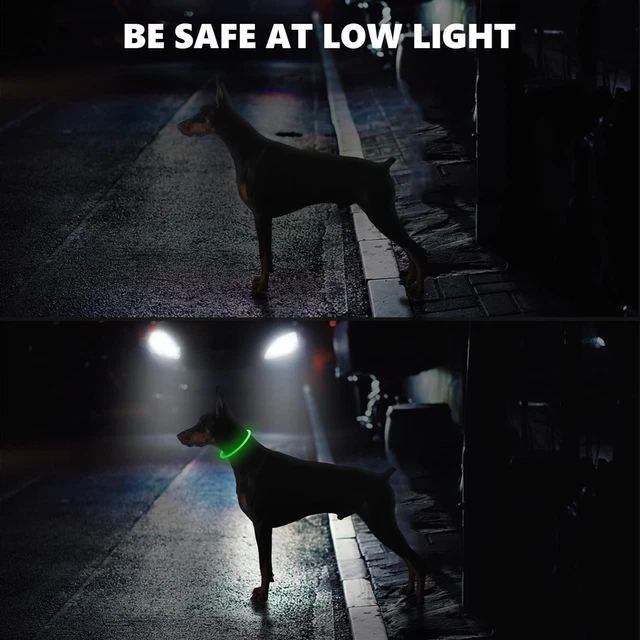 LED DOG COLLAR Light Up Rechargeable Safety Necklace for Small Medium ...