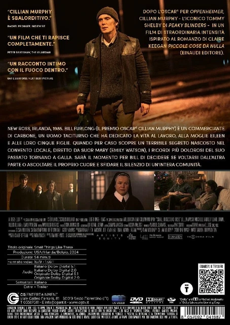 PICCOLE COSE COME Queste (DVD) Cillian Murphy Ciaran Hinds (UK IMPORT ...