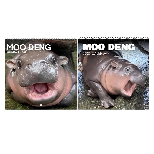 2025 MOO DENG Calendar Hippo Wall Calendar for All Moo Deng Lovers £7. ...