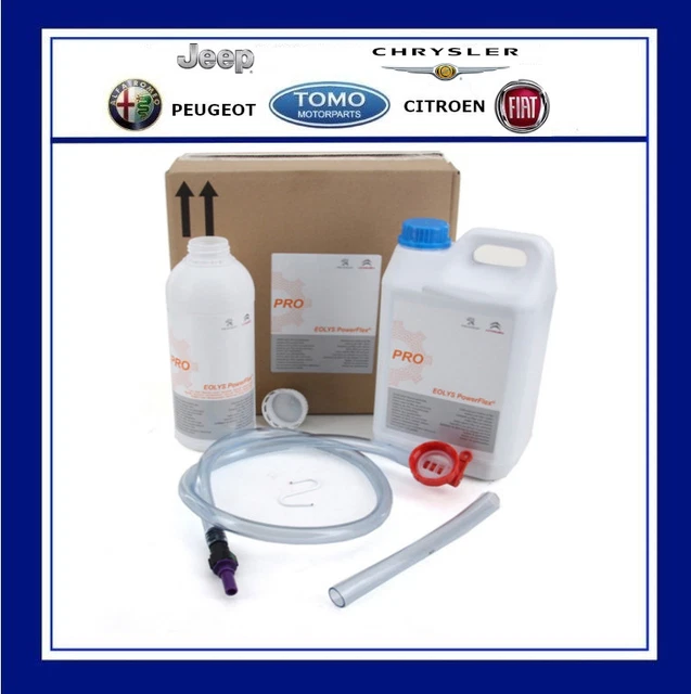 GENUINE CITROEN & Peugeot Particle Filter Power Flex 3L Additive 9736A1 ...