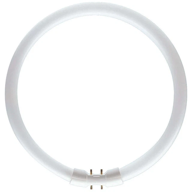 PHILIPS MASTER FLUORESCENT Lamp TL5 Circular Ring Tube Circular 2GX13 £ ...