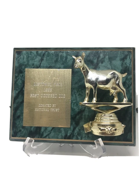 VINTAGE 1998 LISTOWEL Fair Best Uddered Doe Goat Trophy - Good SKU#04 ...