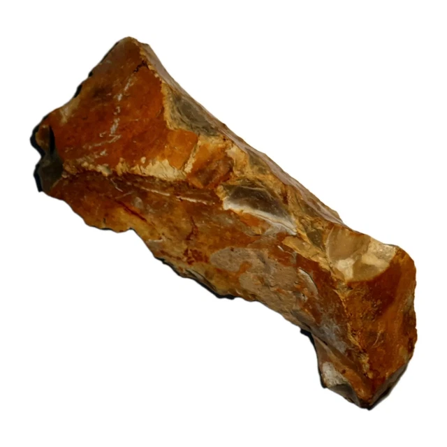 VERY RARE EXCEPTIONAL British Mesolithic Flint Tranchet Axe Head Hafted ...