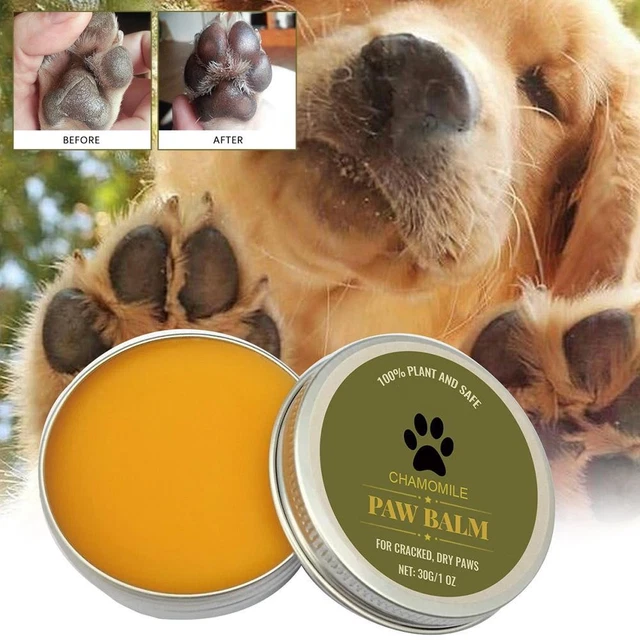 #^.#PAW BALM FOR Dogs and Cats, Paw Balm For Cracked Dry and Paws K3A3 ...