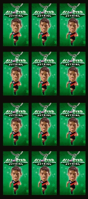 2010 SELECT AFL Stars Collectable Key Rings Patrick Ryder (Essendon) x ...