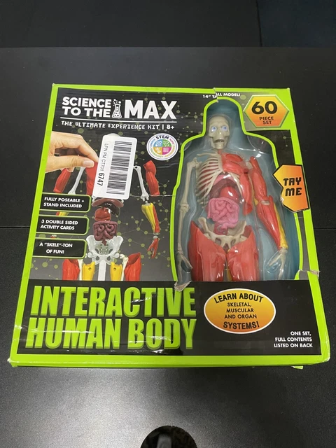 SCIENCE TO THE Max Interactive Human Body STEM Toy 60 Piece New/Damaged ...