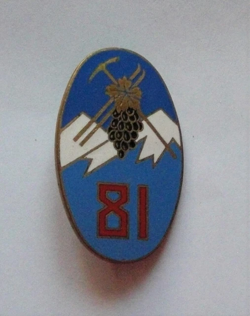 INSIGNE : 81ÈME REGIMENT D'INFANTERIE ALPINE - EUR 13,00 - PicClick FR