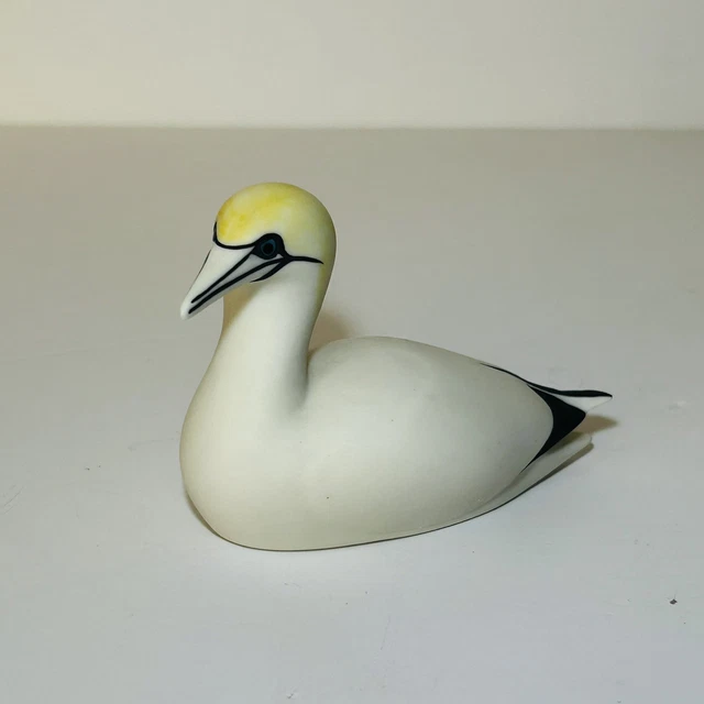 VINTAGE RARE ISLE of Arran Pottery, Gannet Bird Island Pottery £12.99 ...