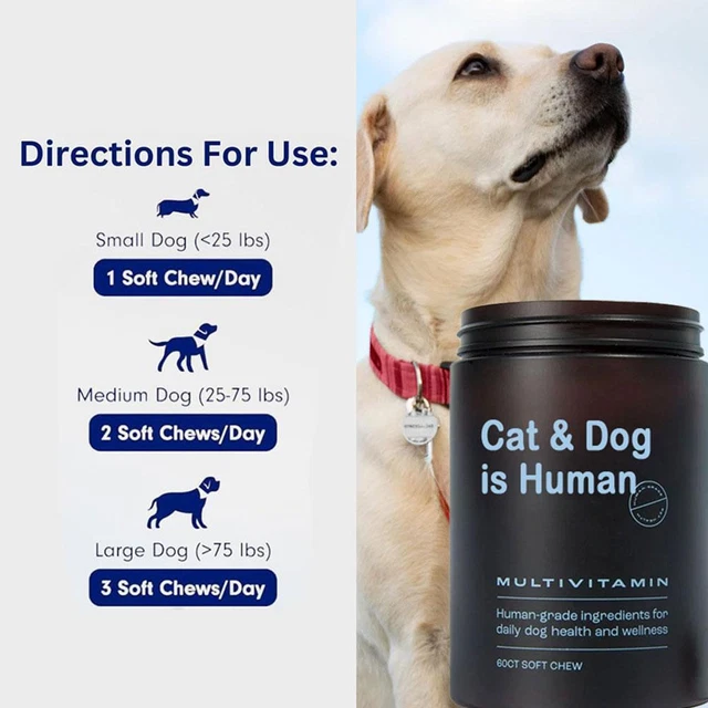 DOG MULTI VITAMINS Chew, Probiotics For Dogs For Immune System,Gut,D og ...