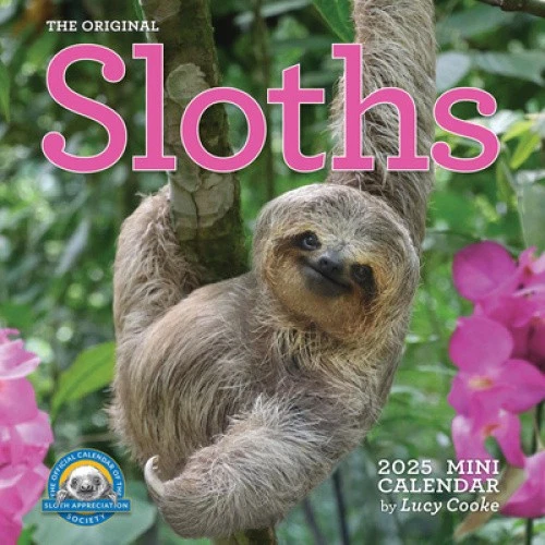ORIGINAL SLOTHS MINI Wall Calendar 2025: Celebrate Life in the Slow ...