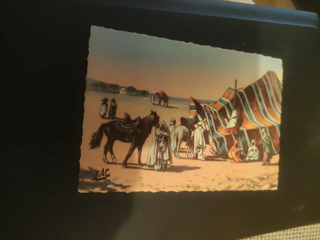 CPA/CP - ALGÉRIE - Scènes Et Types D'afrique Du Nord - Campement Arabe ...