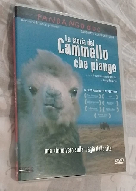 LA STORIA DEL CAMMELLO CHE PIANGE Dvd Raro e Ottimo EUR 17,90 - PicClick IT