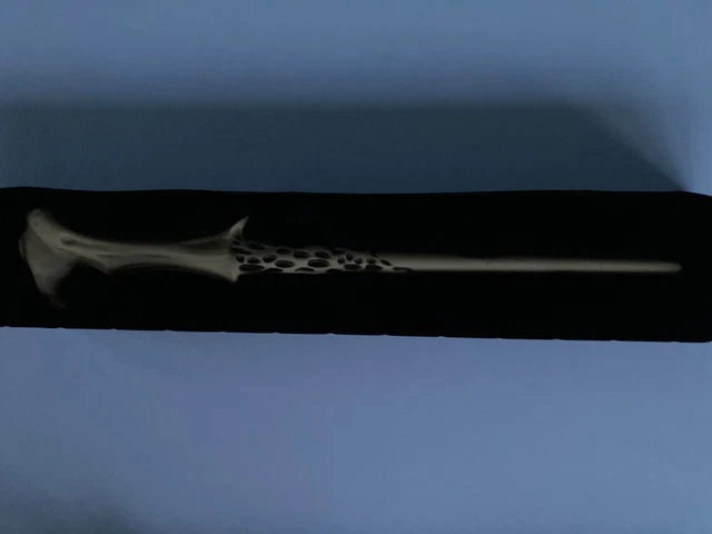 HARRY POTTER WAND (Lord Voldemort Bone Wand, Noble Collection, Shorter ...