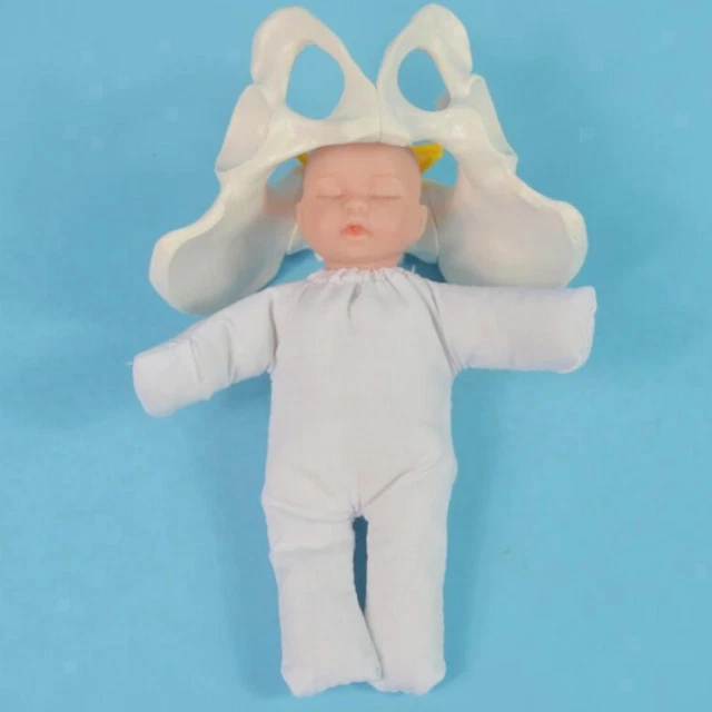LIFE SIZE FEMALE Pelvis Model Mini Female Pelvis Model for Students ...