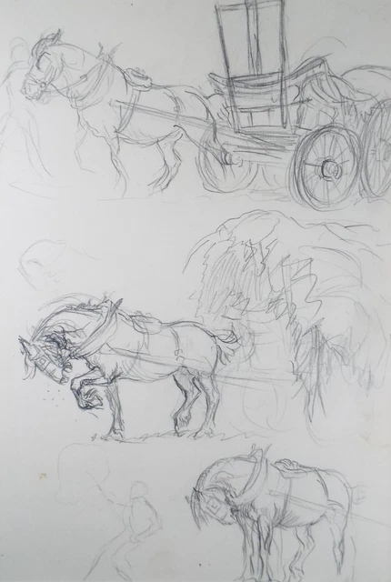 ORIGINAL PENCIL SKETCH,'STUDY of Heavy Horses', Helen Collins (1921 ...