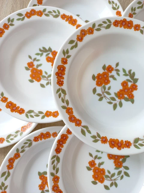 9 ASSIETTES PLATES ARCOPAL vintage EUR 45,00 - PicClick FR
