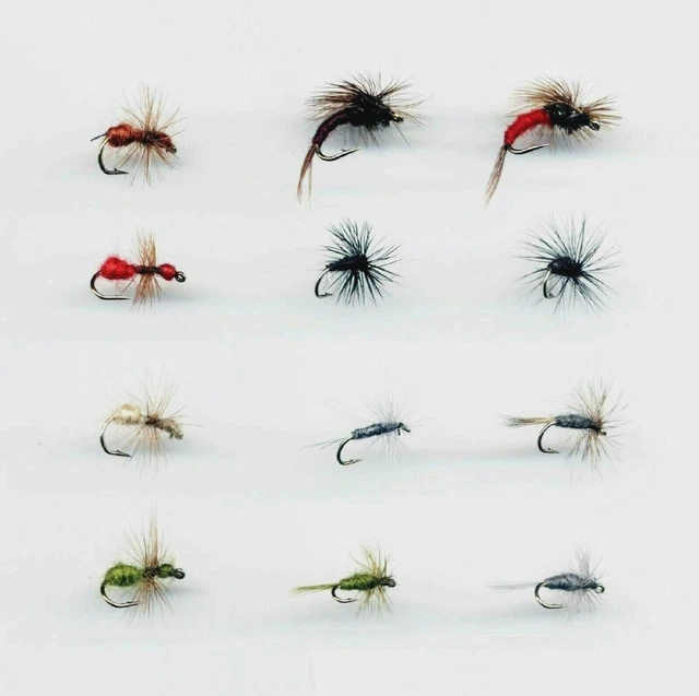 TROUT FLIES: DRY Flies: Midges x6, Ants x4, Parachutes x2 Size 14&16 ...