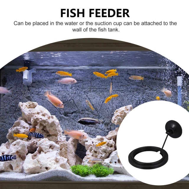 FISH TANK ACCESSORIES Aquarium Feeding Ring Circle Practical Feeder $16 ...