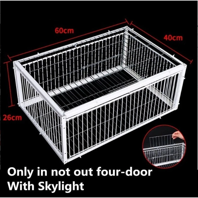 PIGEON TRAP CAGE Bird Traps for Small Birds Folding One-Way Entrance ...