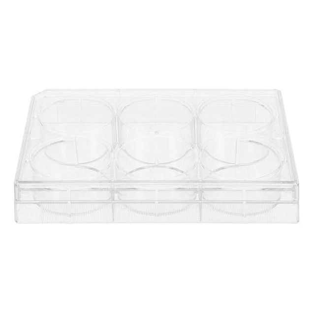 CULTURE PLATE SPECIMEN Cups with Lids Laboratory Dish £8.35 - PicClick UK