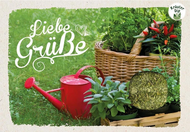 LIEBE GRÜSSE | Kräuter-Dip-Karte mit Sichtfenster | 2024 | Brunnen EUR 8,79 - PicClick DE