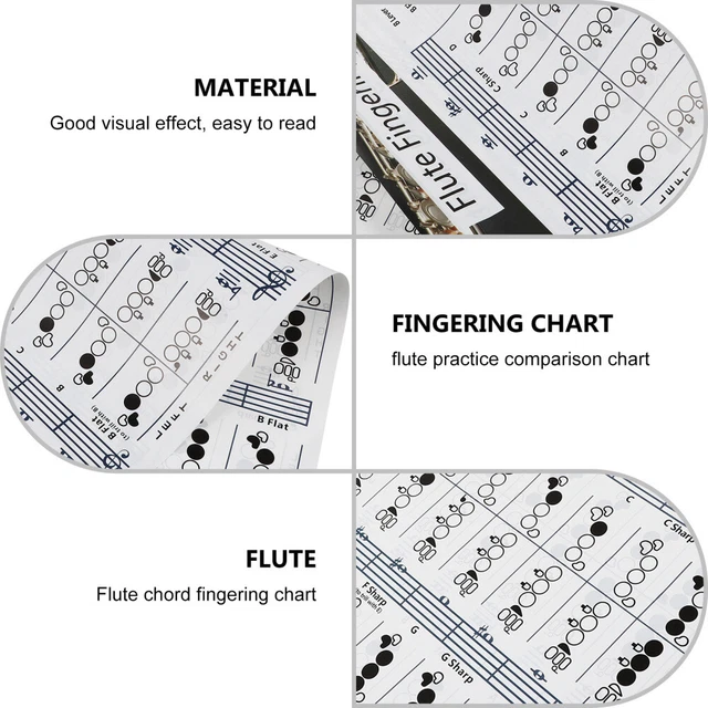 FLUTE CHART EDUCATIONAL Chart Flute Chord Diagrams £18.25 - PicClick UK