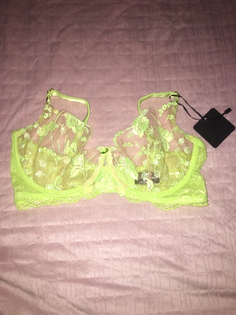 NEW HONEY BIRDETTE Whitney Apple Bra Size 14F/36F/80G $169.00 - PicClick AU