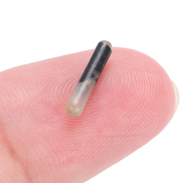 10PCS/SET ANIMAL CHIP Implants Pet Microchip Animal Identification Pet ...
