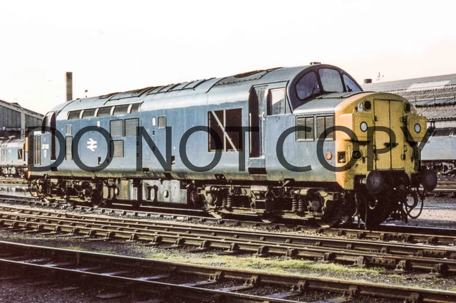 UK DIESEL TRAIN Railway Photograph Of Class 37 Loco 37103. Rm37-384 £1. ...