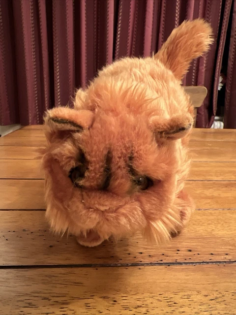 HARRY POTTER CROOKSHANKS the Cat Official Warner Bros Studio Tour £10.50 - PicClick UK