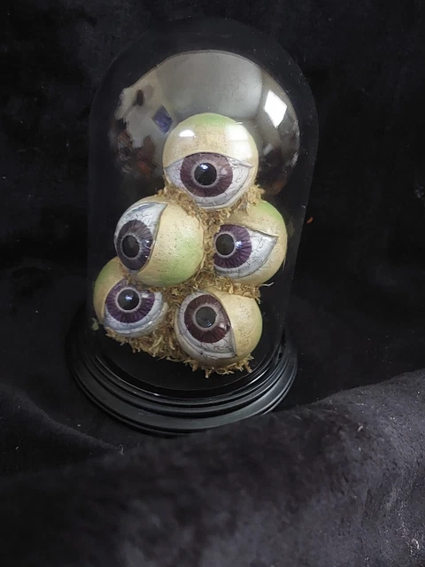 EYEBALLS DOME DISPLAY Prop Faux Taxidermy Halloween Spooky Occult $30. ...