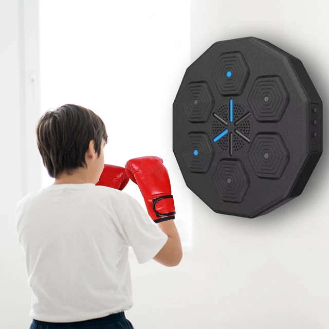 ELECTRONIC MUSIC BOXING Wall Target Reaction Target Equipment Exercise ...